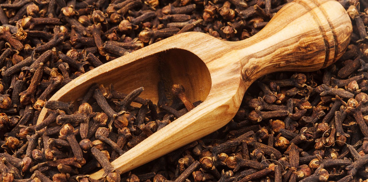 Klinčić – Syzygium aromaticum – Semberka